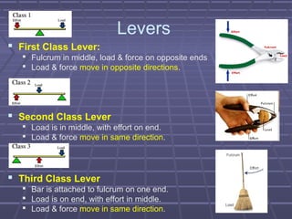 Simple Machines 2nd Class Lever