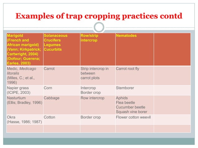32.Trap cropping A Lecture By Mr. Allah Dad Khan Visiting Professor the ...