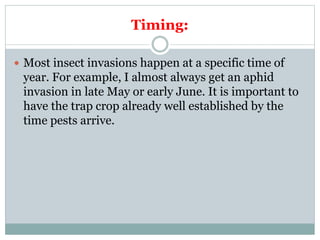32.Trap cropping A Lecture By Mr. Allah Dad Khan Visiting Professor the ...