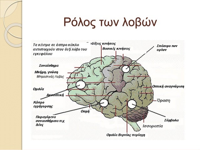 ΝΕΥΡΟΕΠΙΣΤΗΜΕΣ-ΑΛΤΣΧΑΪΜΕΡ