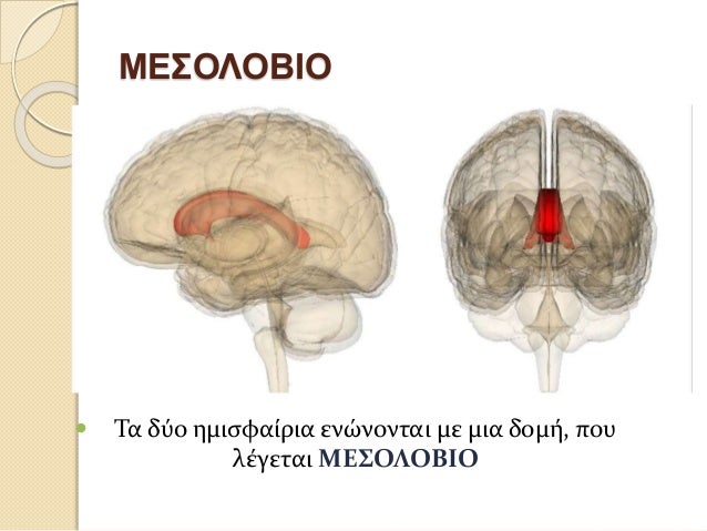 ΝΕΥΡΟΕΠΙΣΤΗΜΕΣ-ΑΛΤΣΧΑΪΜΕΡ