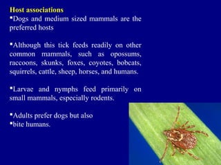 Important ticks and their classification | PPT