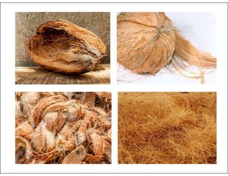 32. Coir.pdf