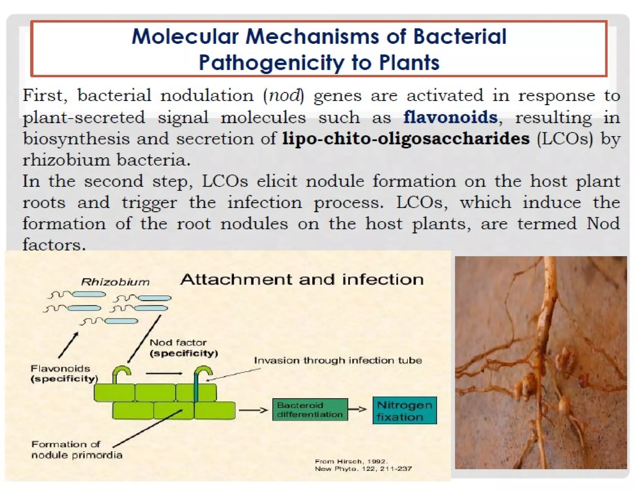 32. Host Pathogen Relationship.pdf
