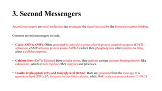 DPT - Biochemistry & Genetics - II (Hormones) Signal transduction ...