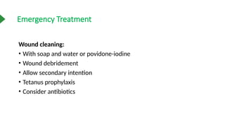 32._Rabies_Emergency_Treatment.pptxbbbnnj | PPT
