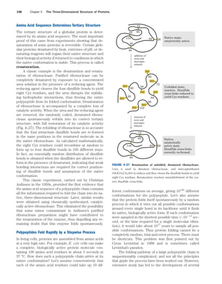 32 38pp bioquimica | PDF