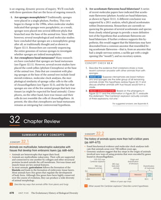 32 an overview of animal diversity | PDF