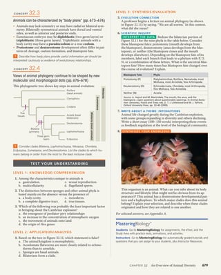 32 an overview of animal diversity | PDF