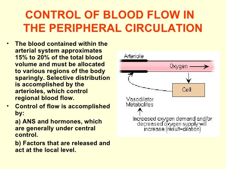 32. cardiovascular 4-08-09