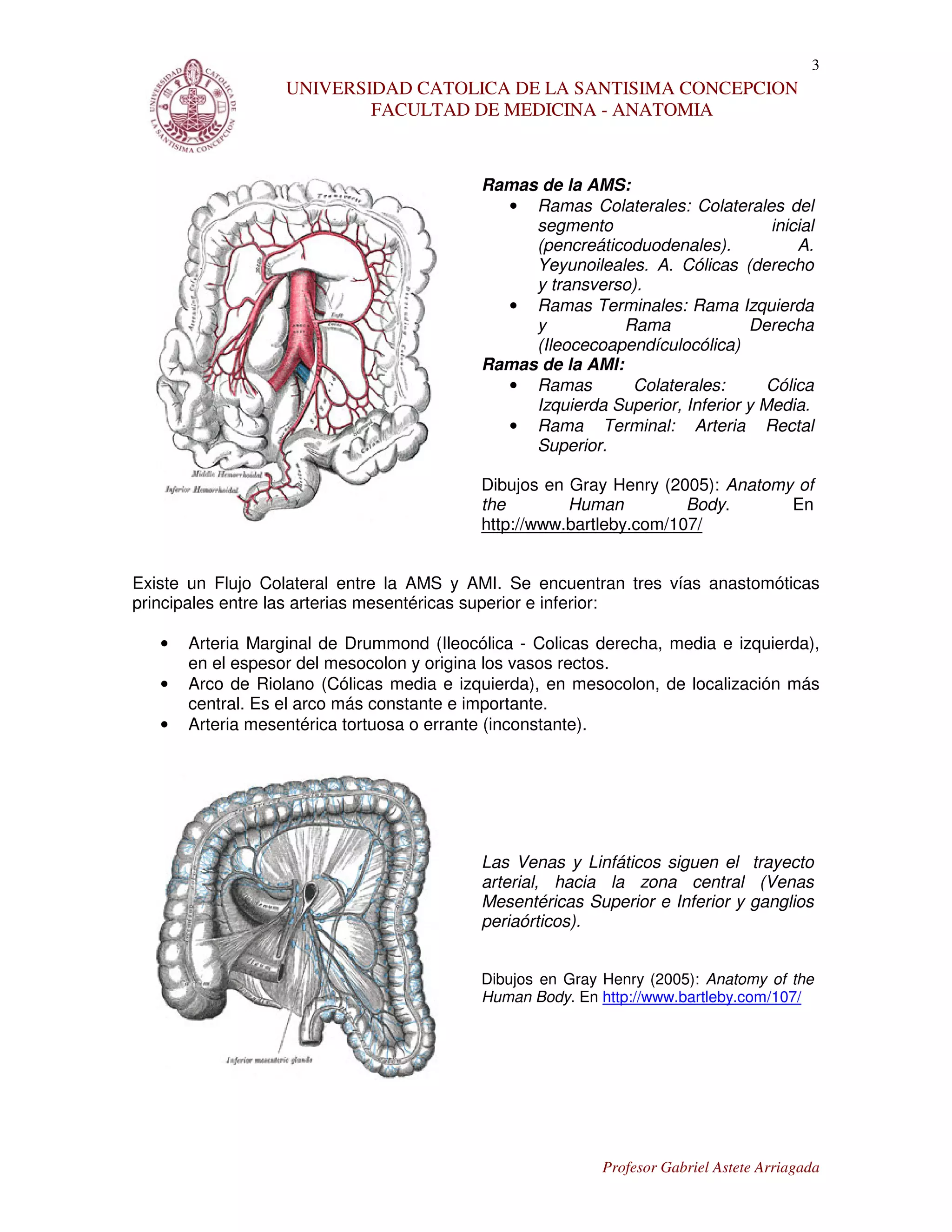 32. documento colon | PDF
