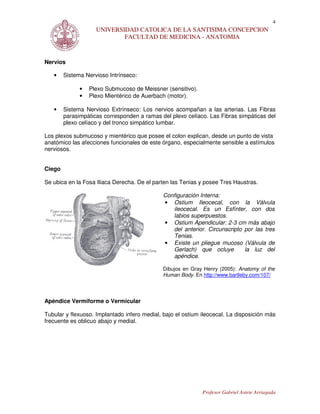 32. documento colon | PDF