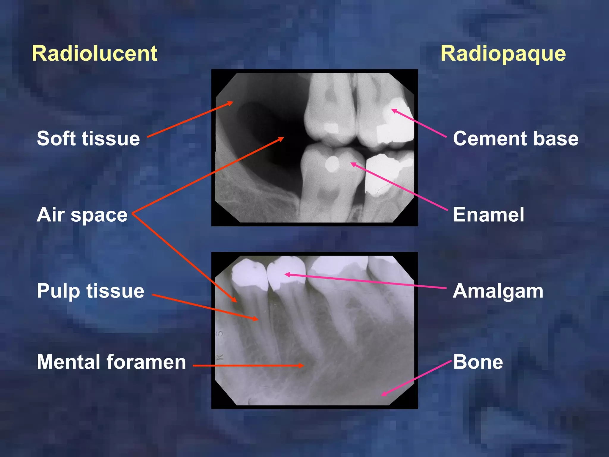 radiology-image-characteristics | PDF