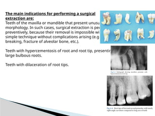 3_2019_11_20!10_00_20_PM.pptxhjjkknjjjjkkk | PPT