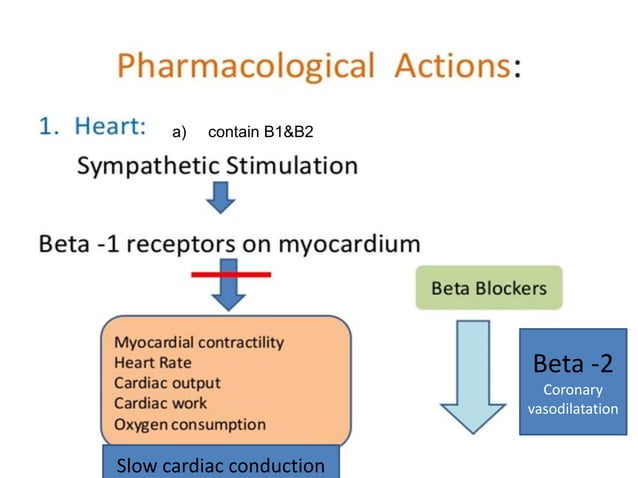 Beta blockers pharmacology || antihypertensives | PPT