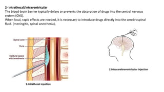 Bsusvducbdudbsbaosishvdjxbchxhdbsbddhxhdhdb | PDF