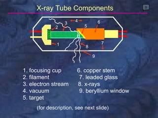X Rays Production Animation