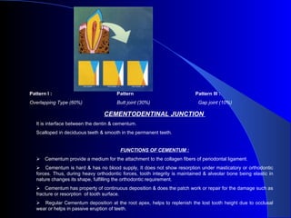 cementum | PPT
