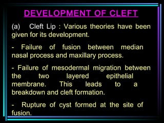 cleft-lip-palate | PPT