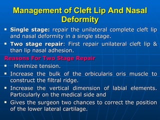 cleft management | PPT