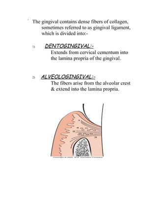 gingiva | PDF