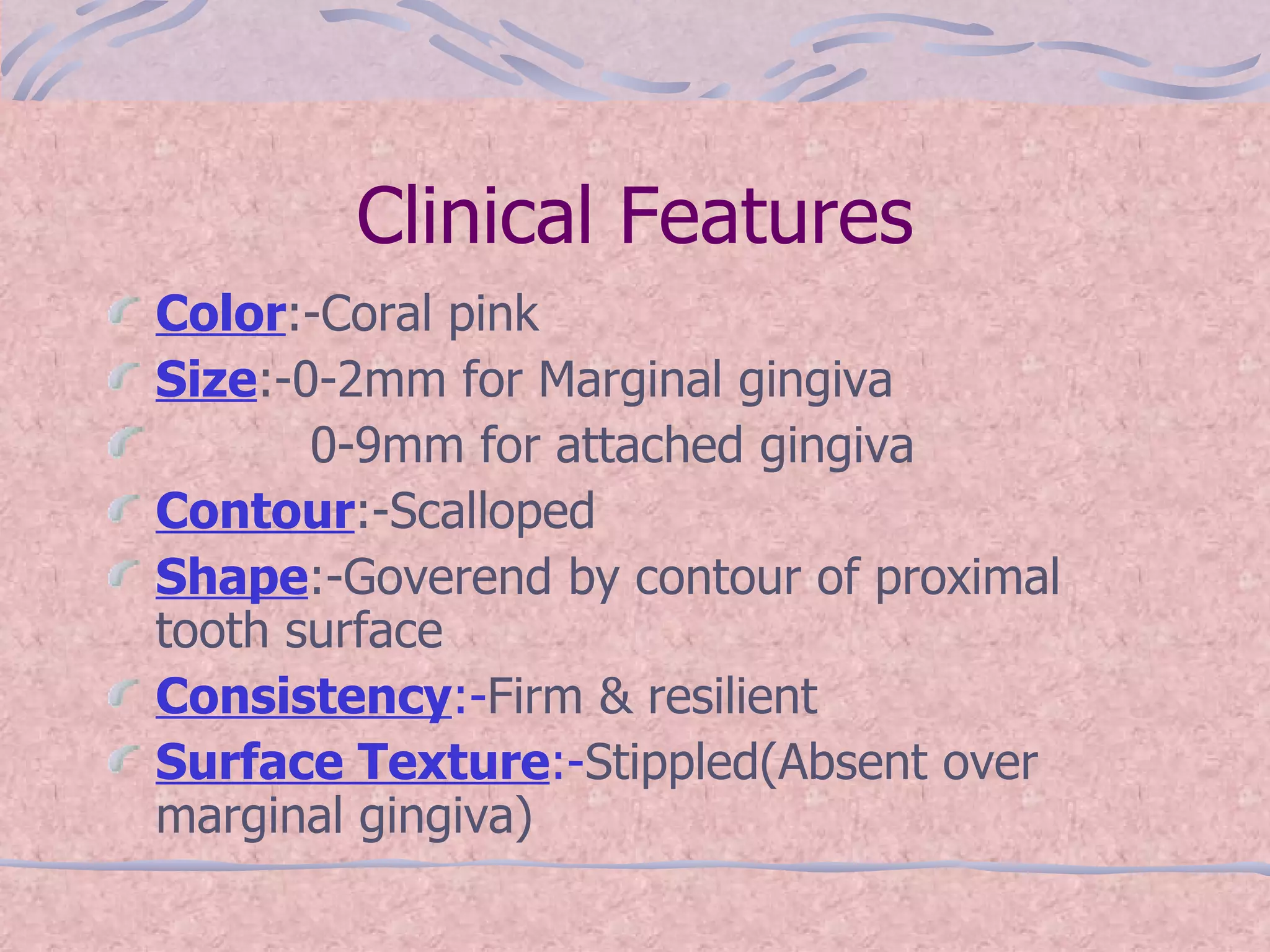 gingiva | PPT