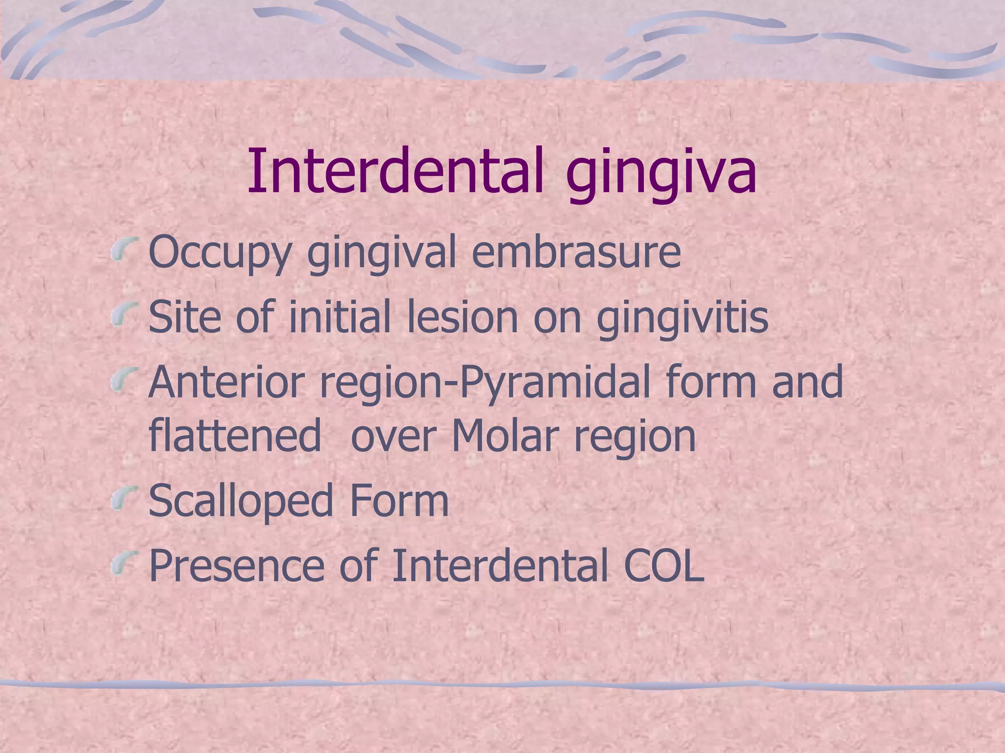 gingiva | PPT