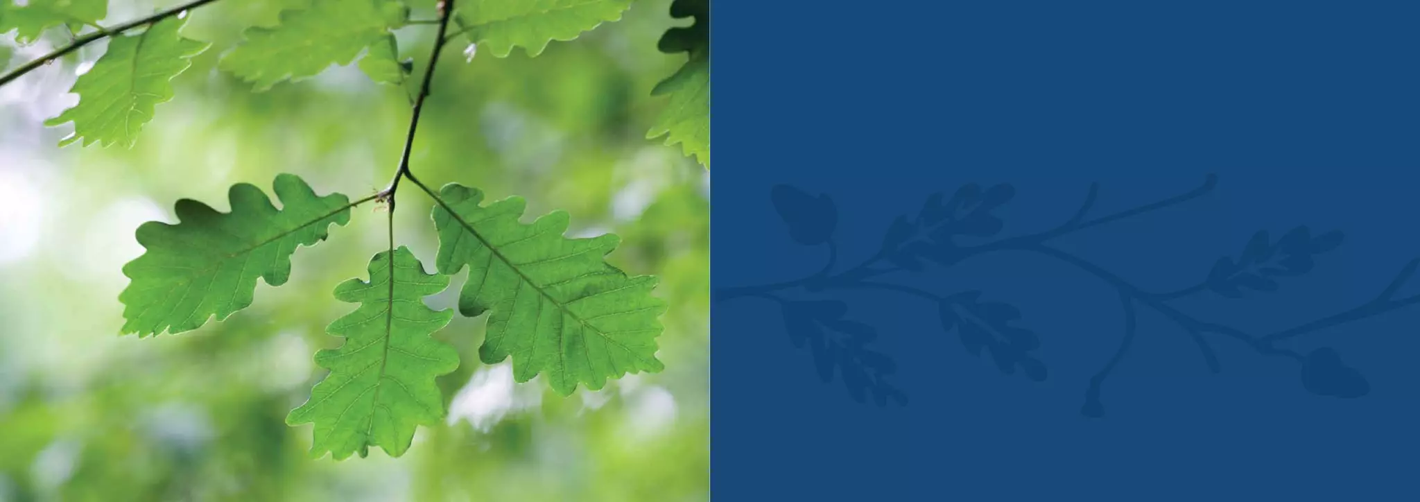 Interpack brochure - final | PDF