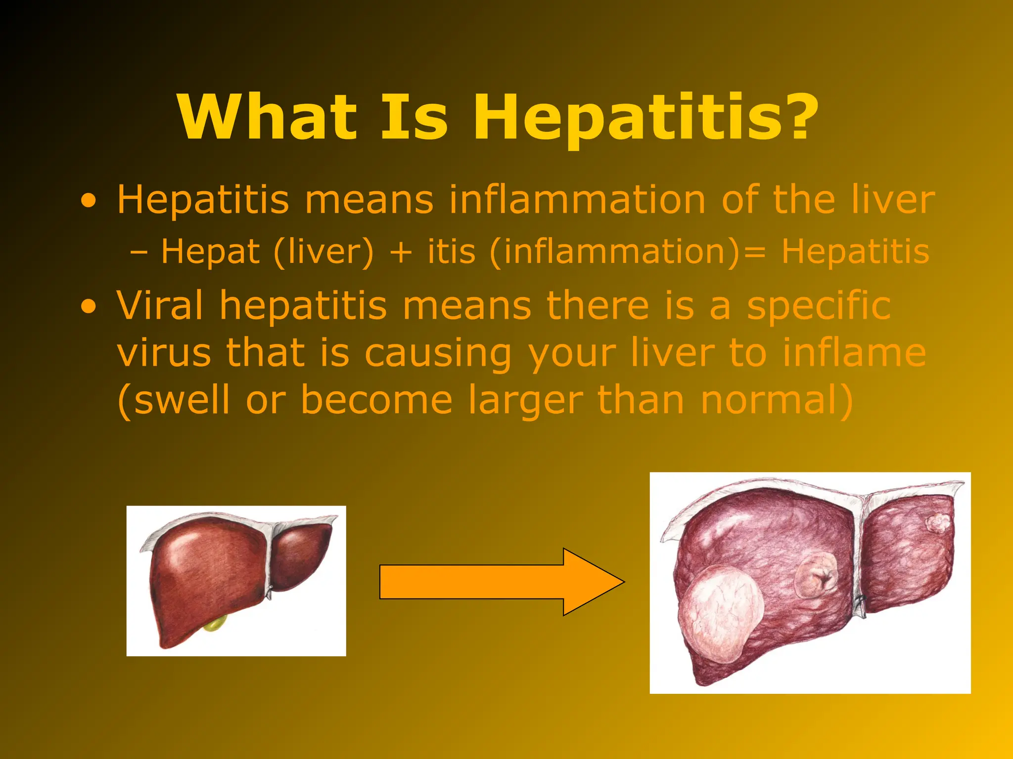 Hepatitis presentation and brief introduction | PPT