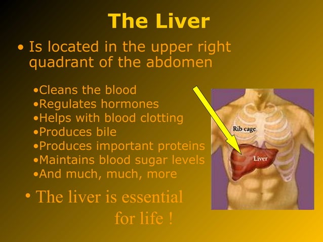 Hepatitis presentation and brief introduction | PPT