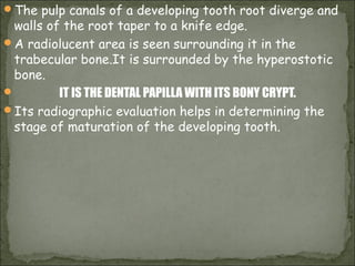 normal radiographic anatomy of oral cavity | PDF