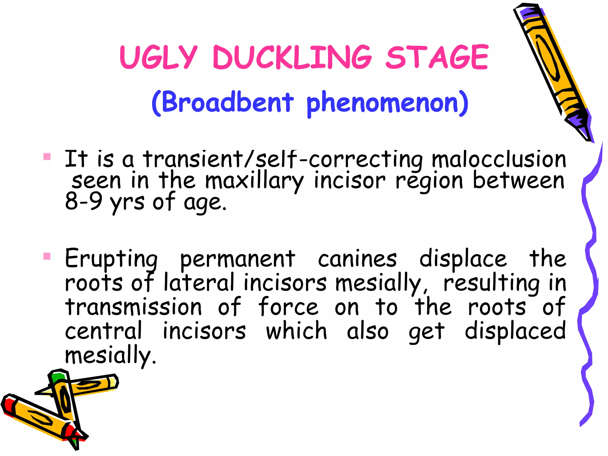 the-mixed-dentition-pedodontics | PPT