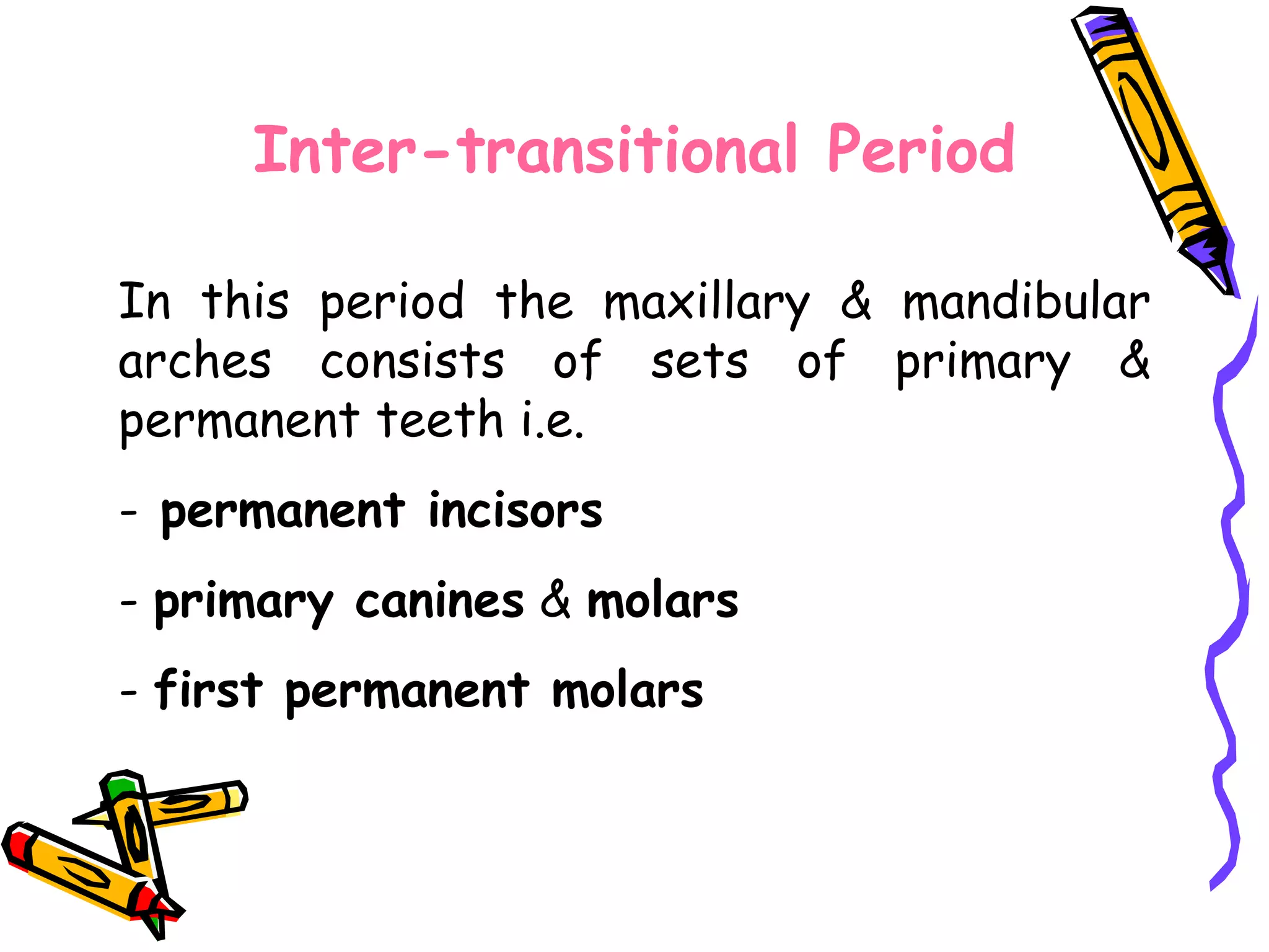 the-mixed-dentition-pedodontics | PPT