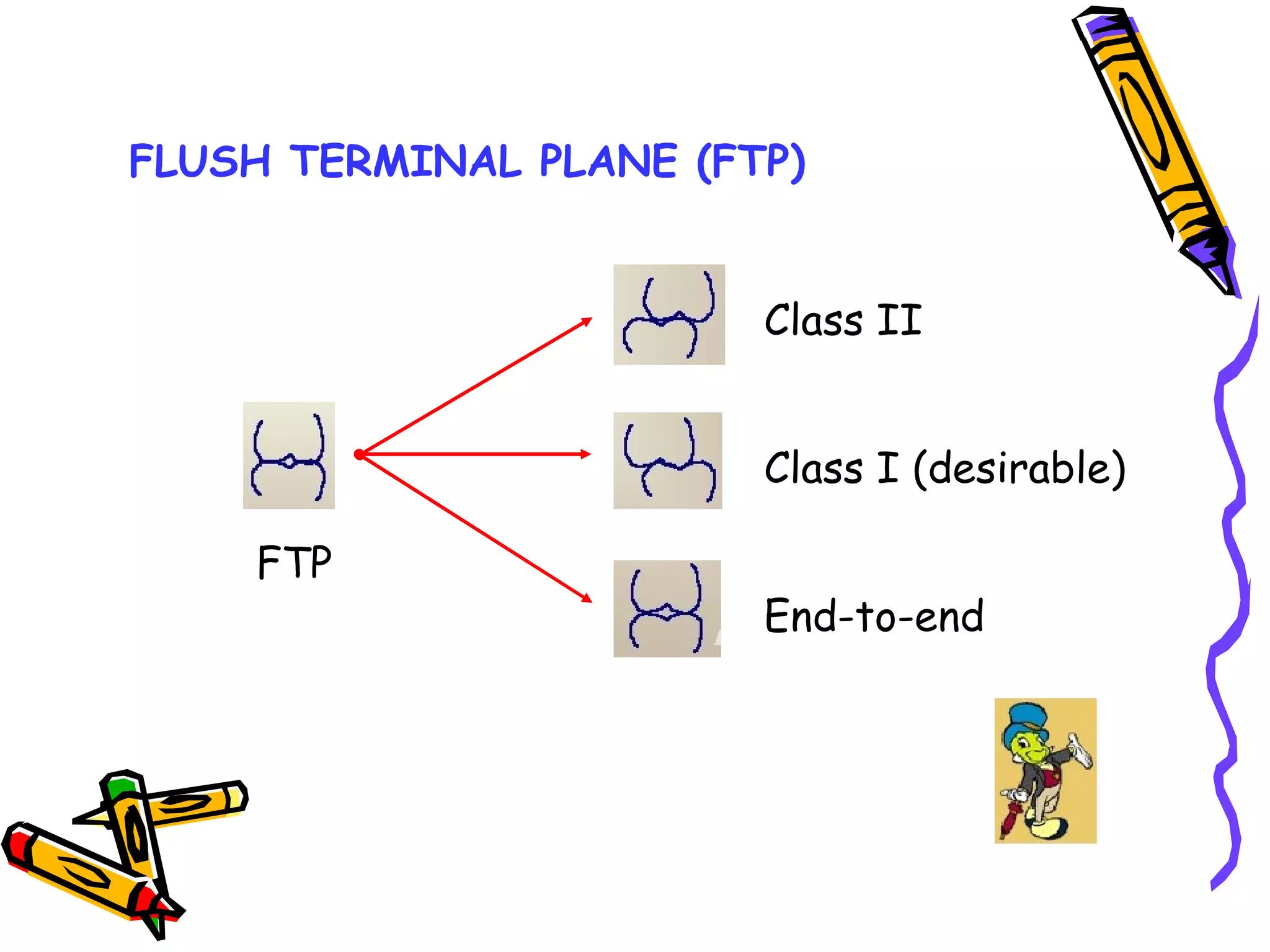 the-mixed-dentition-pedodontics | PPT