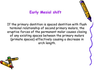 the-mixed-dentition-pedodontics | PPT