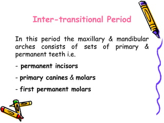 the-mixed-dentition-pedodontics | PPT