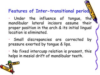 the-mixed-dentition-pedodontics | PPT