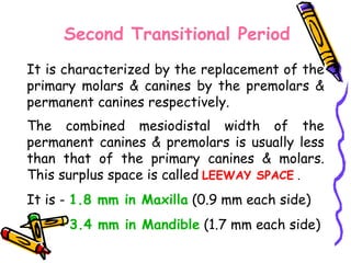 the-mixed-dentition-pedodontics | PPT