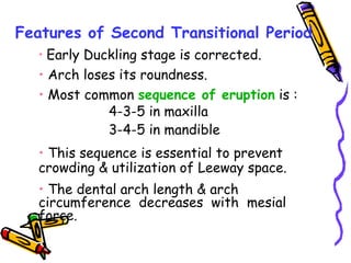 the-mixed-dentition-pedodontics | PPT