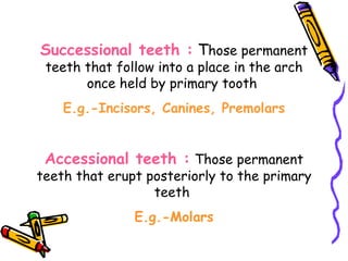 the-mixed-dentition-pedodontics | PPT