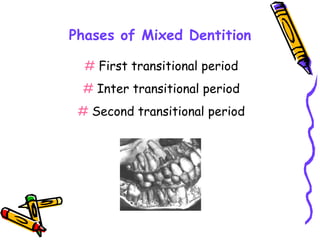 the-mixed-dentition-pedodontics | PPT