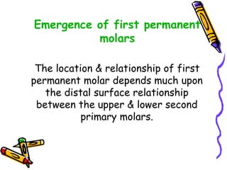the-mixed-dentition-pedodontics | PPT