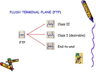 the-mixed-dentition-pedodontics | PPT