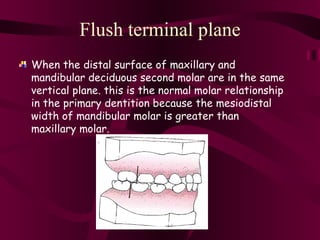 transient-malocclusions-pedodontics | PPT