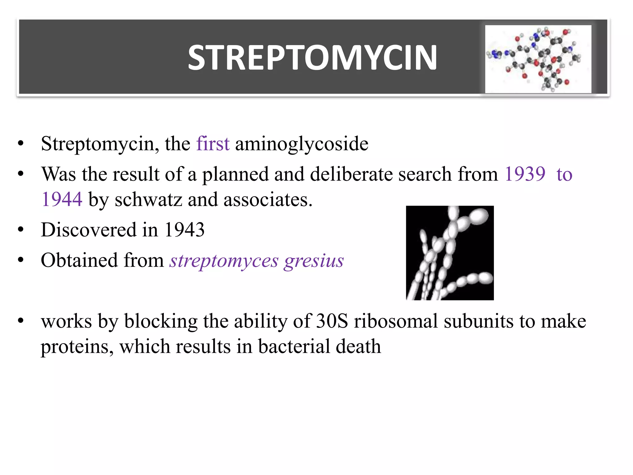 Aminoglycosides and streptomycin- pharmaceutical Chemistry | PPTX