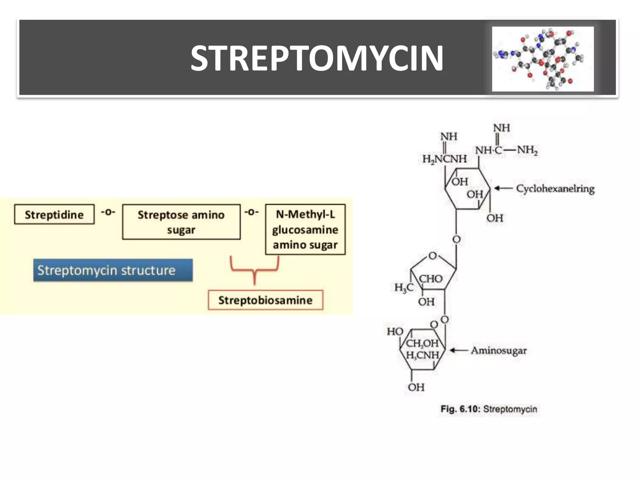 Aminoglycosides and streptomycin- pharmaceutical Chemistry | PPTX