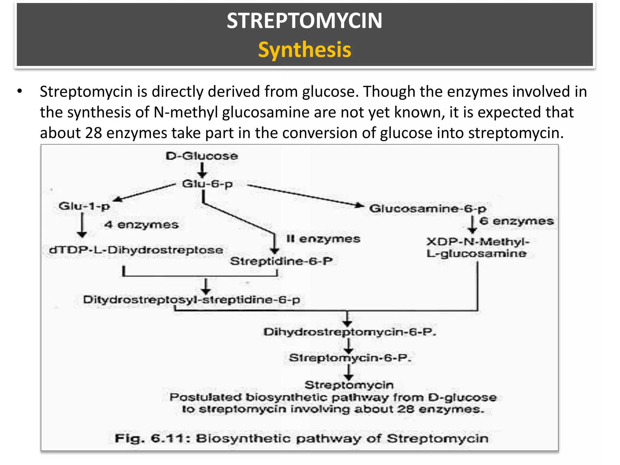 Aminoglycosides and streptomycin- pharmaceutical Chemistry | PPTX
