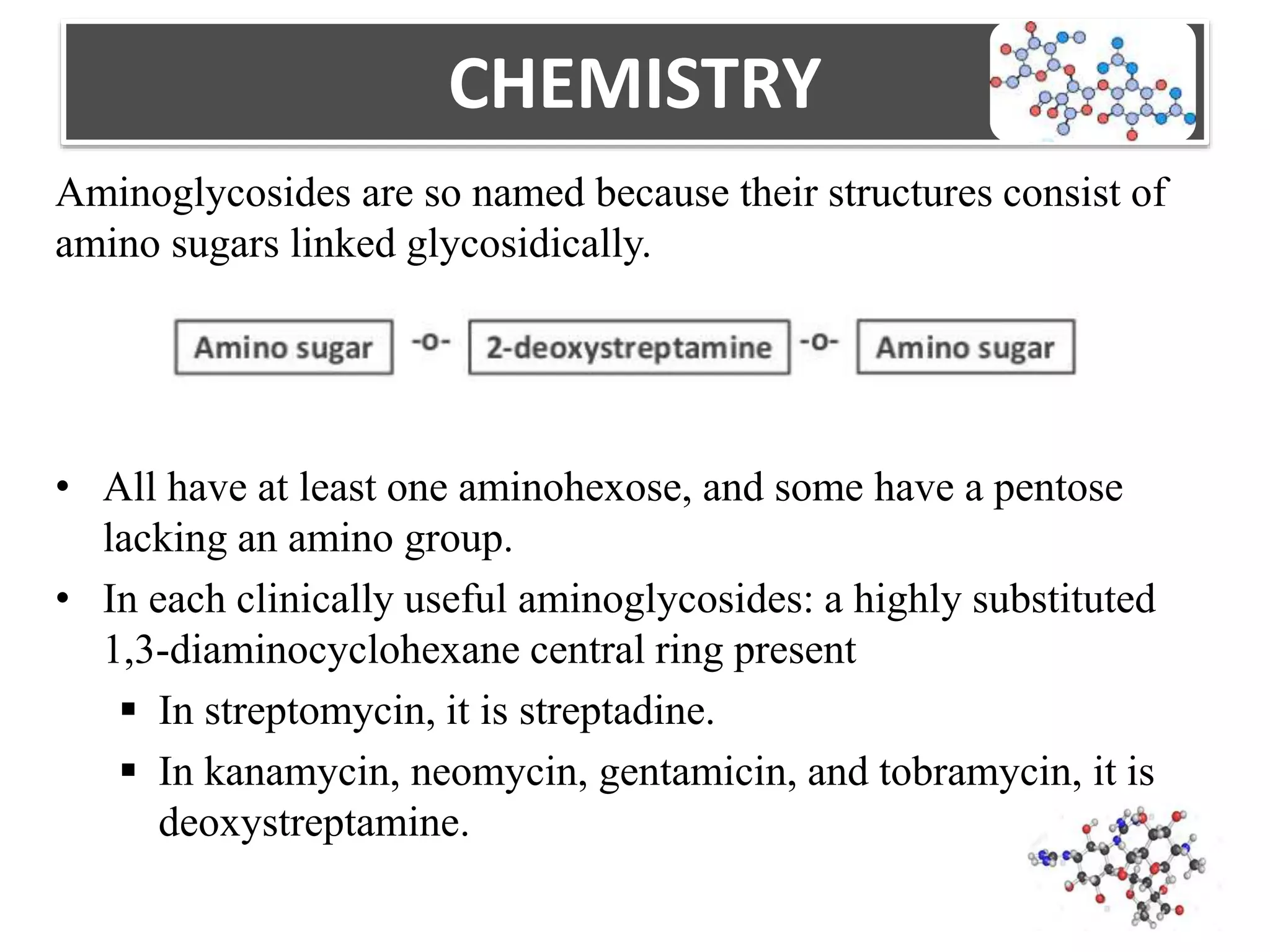 Aminoglycosides and streptomycin- pharmaceutical Chemistry | PPTX