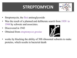 Aminoglycosides and streptomycin- pharmaceutical Chemistry | PPTX