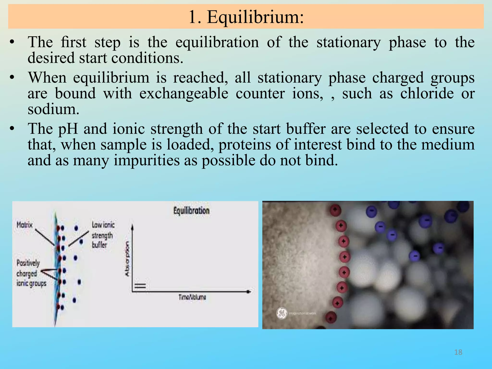 Ion exchange chromatography PPT. | PPTX